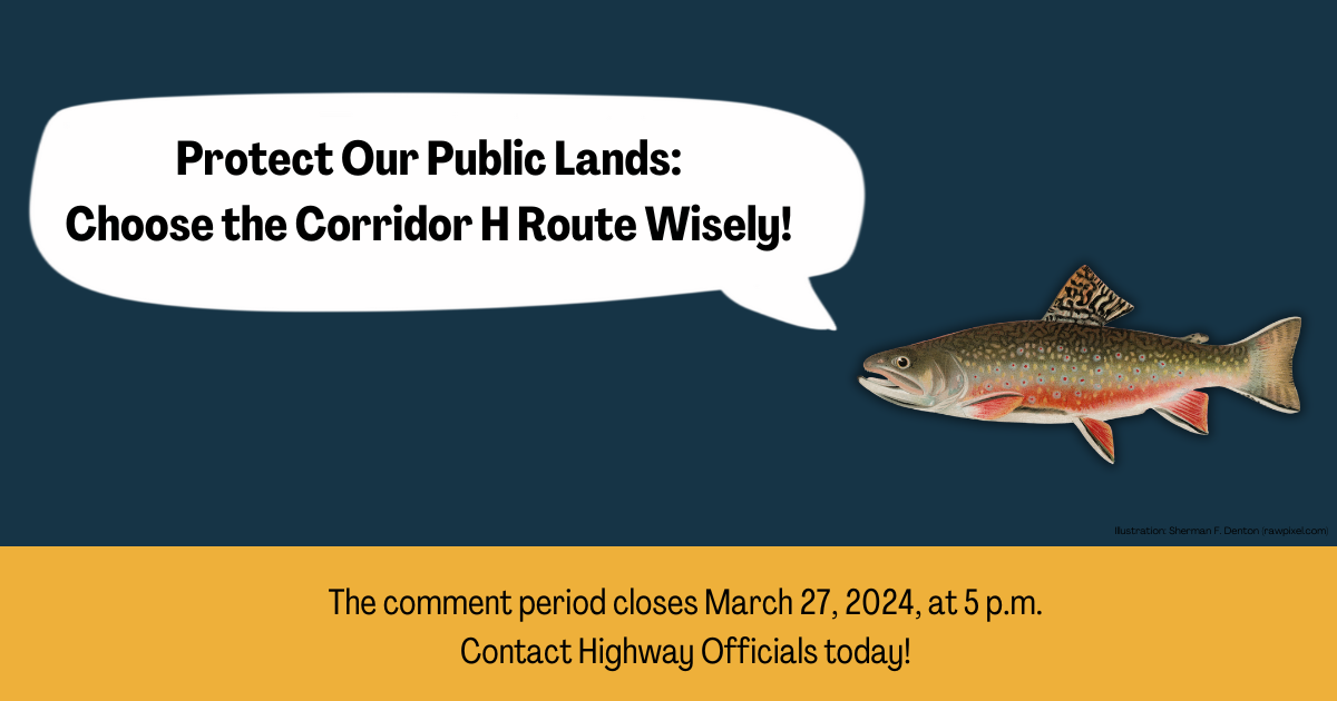 Action Alert: Choose the Corridor H Route Wisely – WV Rivers